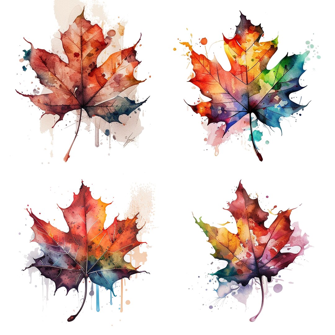 Set of 4 Watercolor Clipart Maple Leaf Illustrations Files, Instant ...