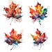 Set of 4 Watercolor Clipart Maple Leaf Illustrations Files, Instant ...