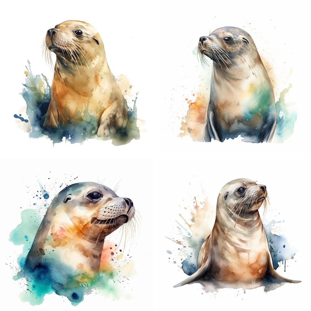 Watercolor Clipart Seal Digital Downloads, Seal Clipart, Sea Lion PNG ...