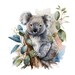 Watercolor Koala Clipart Set of 4 - Commercial Use PNG Downloads for ...