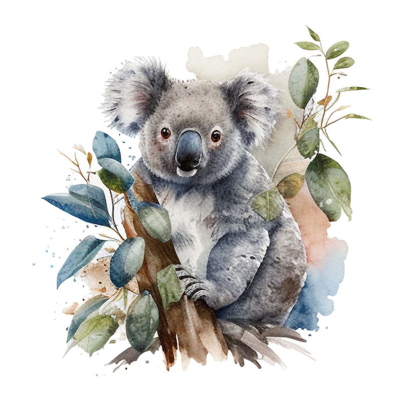 Watercolor Koala Clipart Set of 4 - Commercial Use PNG Downloads for ...