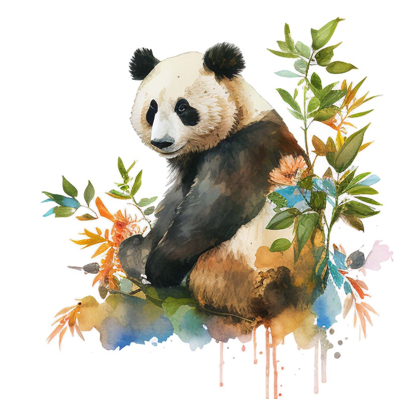 Cute Panda Bear Watercolor Clipart Set of 4 Commercial Use - Etsy