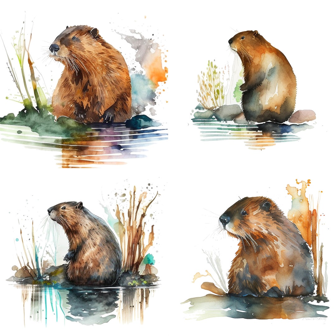 Beaver Set of 4 Watercolor Clipart - Commercial Use PNG Download for ...