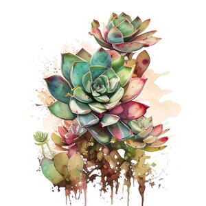 Set of 4 Watercolor Succulent Clipart, Succulents Clipart, Watercolor ...