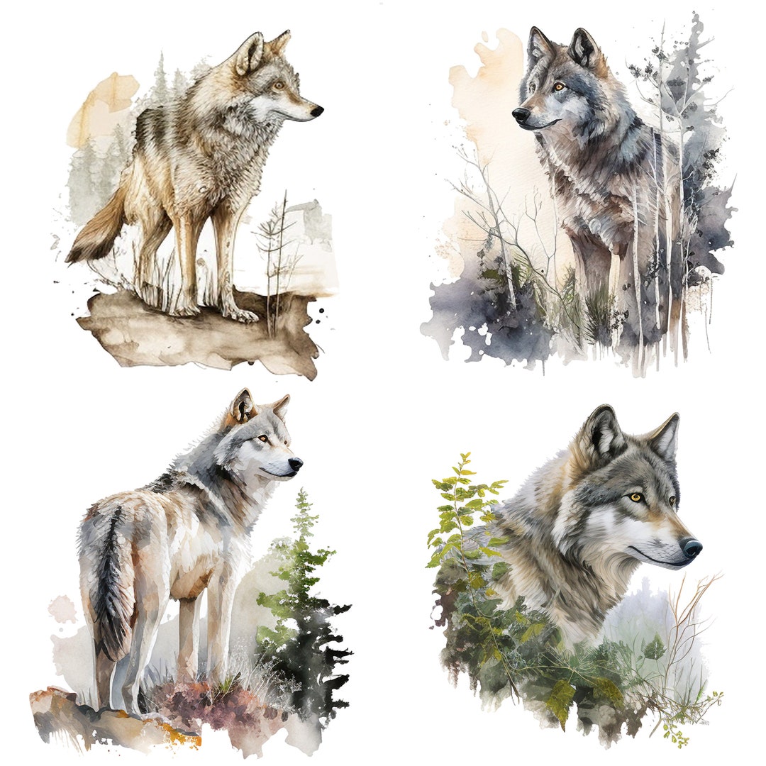 Set of 4 Watercolor Grey Wolf Clipart - Commercial Use PNG Download for ...