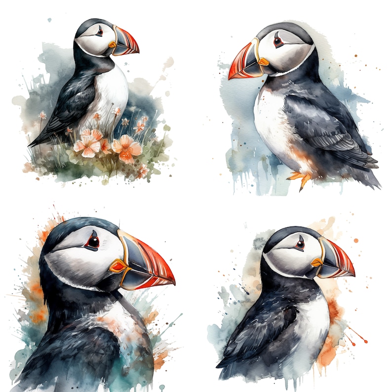 Watercolor Puffin Clipart - Set of 4 High Quality Pngs for Apparel ...