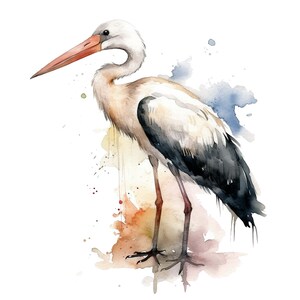 Stork Watercolor Clipart, Watercolor Stork , Set of 4 PNG Files ...