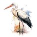 Stork Watercolor Clipart, Watercolor Stork , Set of 4 PNG Files ...