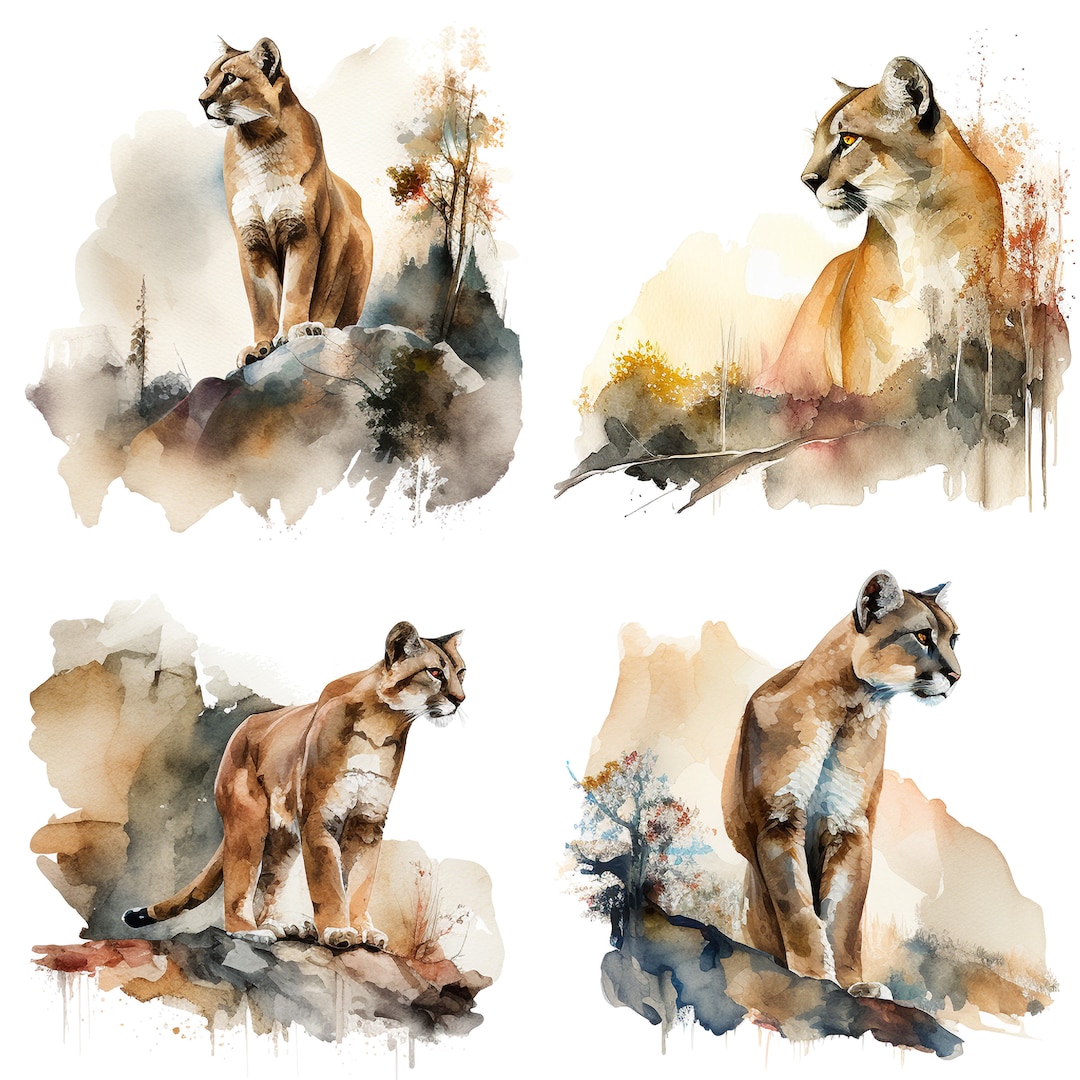 Mountain Lion Watercolor Clipart Set of 4 - Commercial Use PNG Digital ...