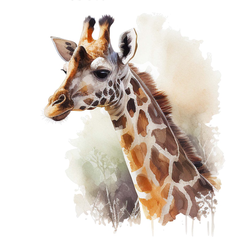 Cute Giraffe Watercolor Clipart Set of 4 PNG Digital - Etsy