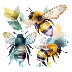 Set of 4 Summer Watercolor Honeybee Clipart Bundle of PNG Files ...