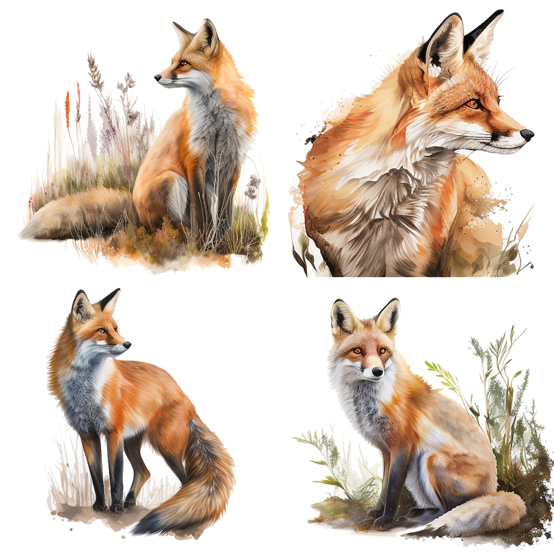 Cute Red Fox Watercolor Clipart Set of 4 - Commercial Use PNG Digital ...