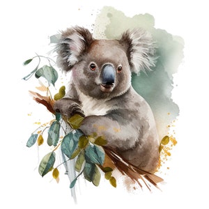 Watercolor Koala Clipart Set of 4 - Commercial Use PNG Downloads for ...