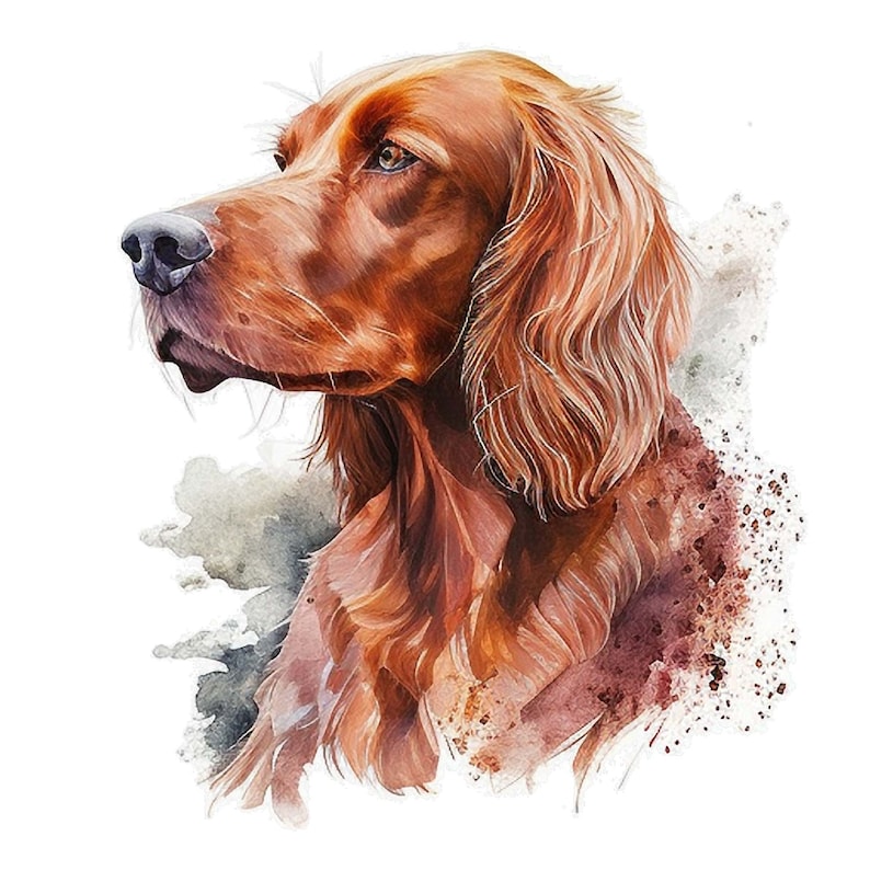 Watercolor Irish Setter Portrait Clipart Digital Download Set of 4 PNG ...