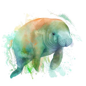 Manatee Clipart Set of 4 Watercolor Sea Creatures Download Sea Cow ...