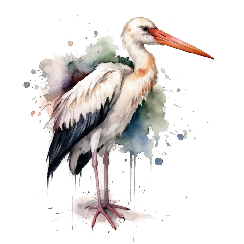 Stork Watercolor Clipart Watercolor Stork Set of 4 PNG - Etsy