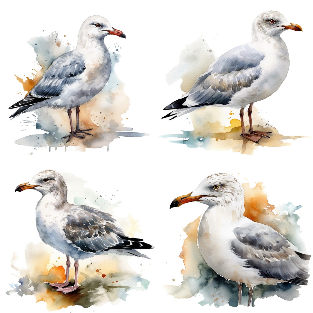 Seagull Watercolor Clipart - Printable Digital Download for Sublimation ...