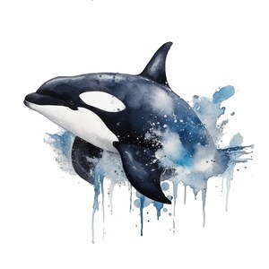 Orca Whale Watercolor Clipart Set of 4 PNG Digital Downloads Orca ...