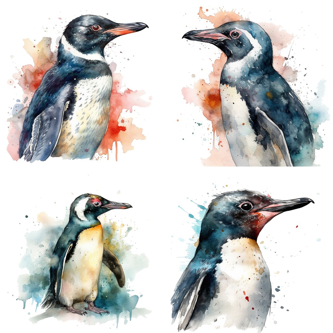 Penguin Clipart - Watercolor Clipart High Quality Pngs - Set of 4 Water ...