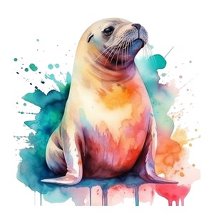 Watercolor Clipart Seal Digital Downloads, Seal Clipart, Sea Lion PNG ...