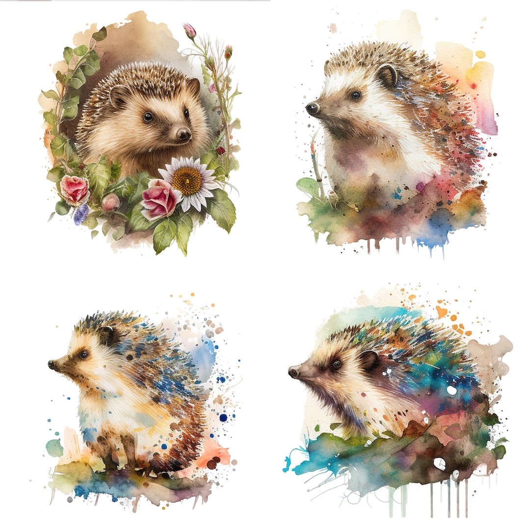 Set of 4 Watercolor Hedgehog Clipart - Commercial Use PNG Downloads for ...