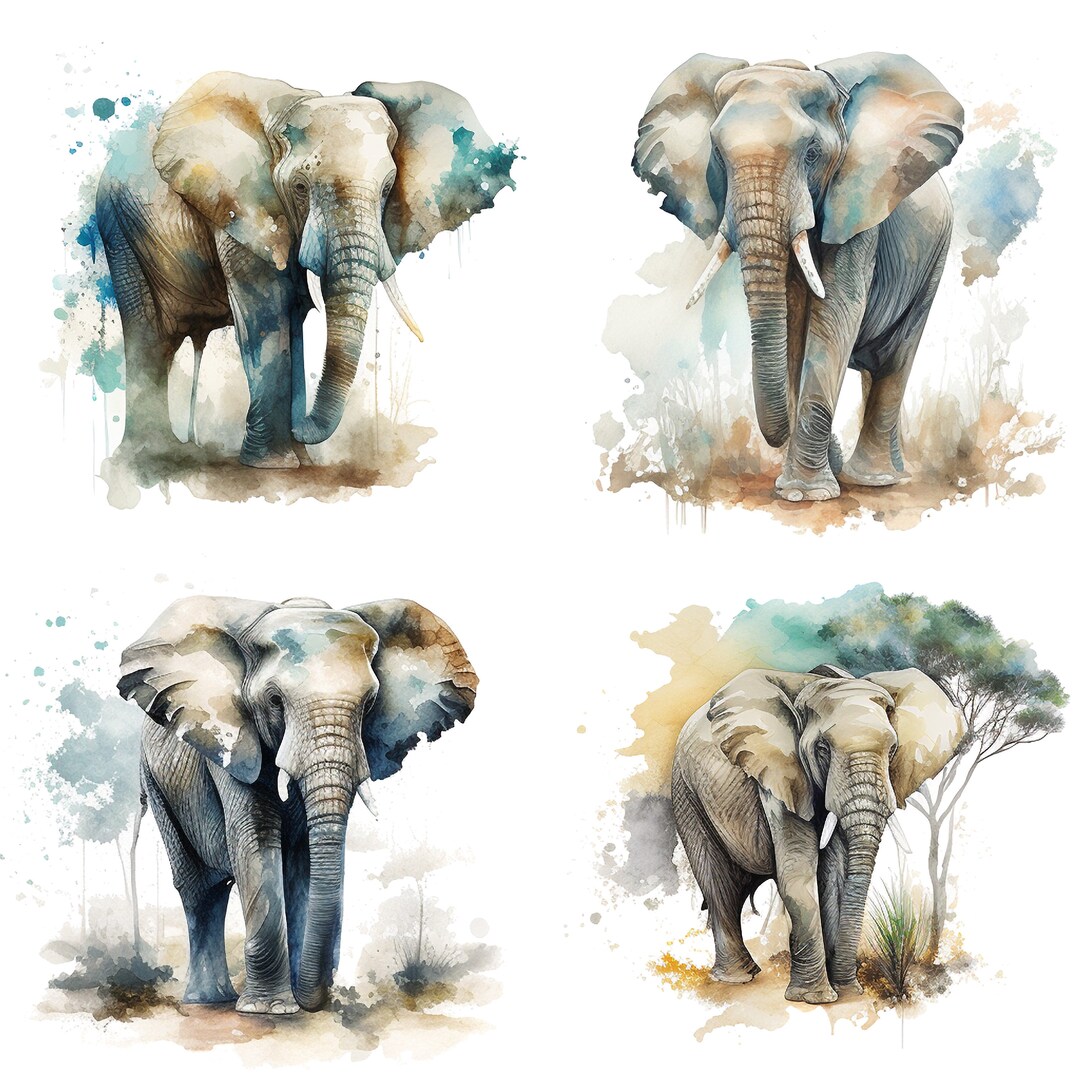 Set of 4 Watercolor African Elephant Clipart - Commercial Use PNG ...