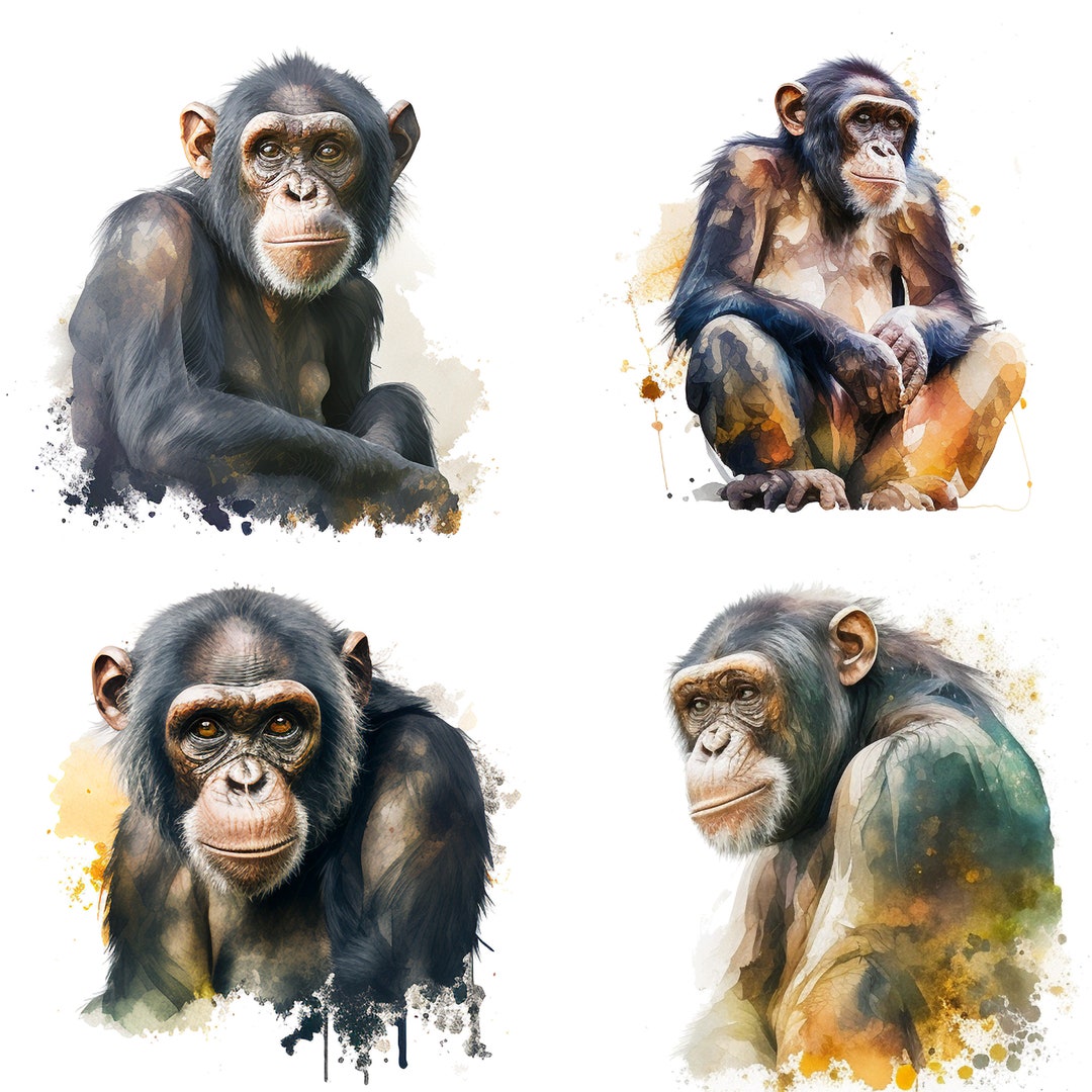 Chimpanzee Set of 4 Watercolor Clipart - PNG Digital Download for ...