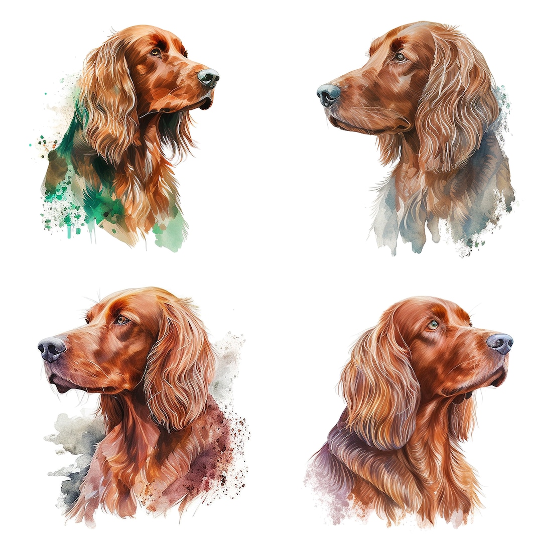 Watercolor Irish Setter Portrait Clipart Digital Download Set of 4 PNG ...