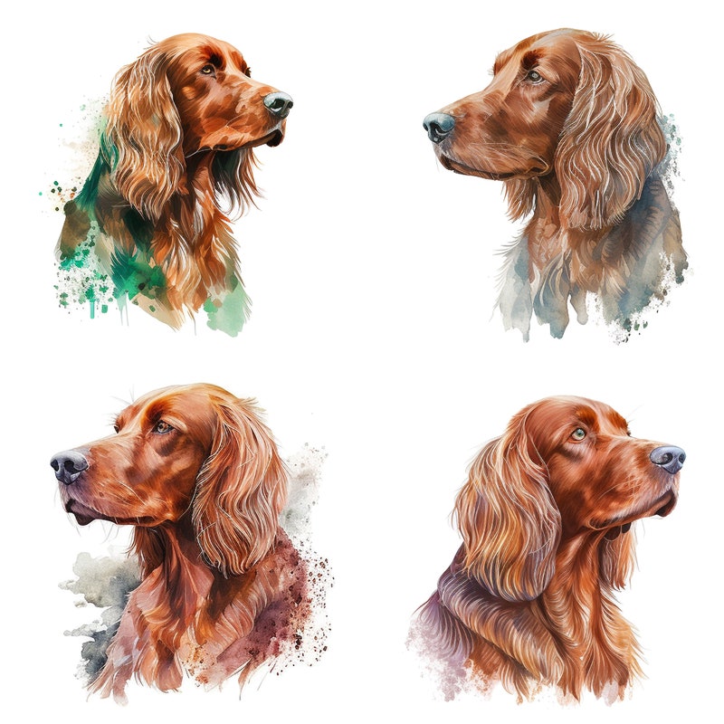 Irish Setter Art - Etsy
