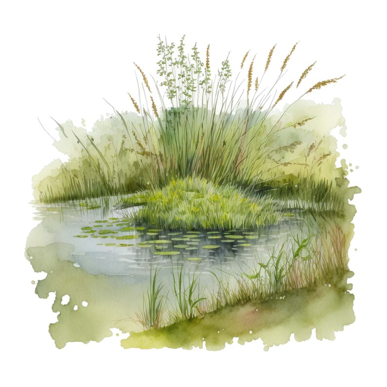 Watercolor Wetlands Clipart Wetland Painting PNG Clipart Set of 4 ...
