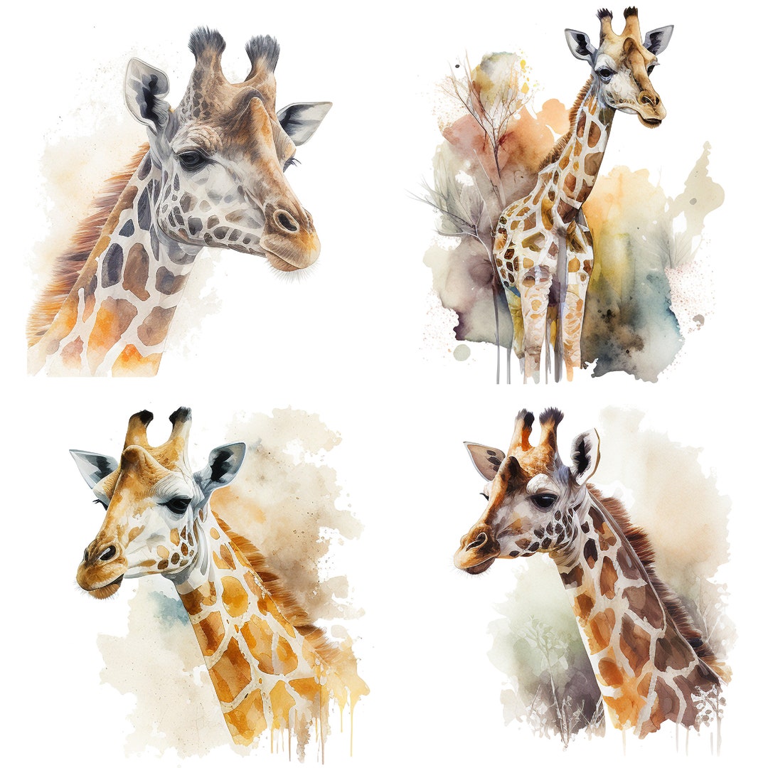 Cute Giraffe Watercolor Clipart Set of 4 - PNG Digital Download for ...