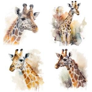 Cute Giraffe Watercolor Clipart Set of 4 - PNG Digital Download for ...