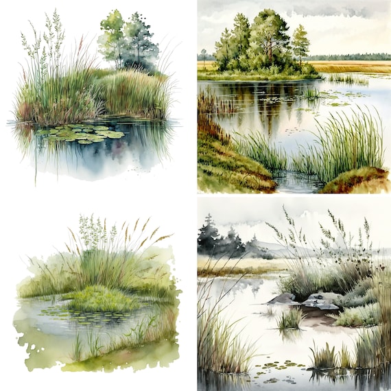 Wetland Clipart