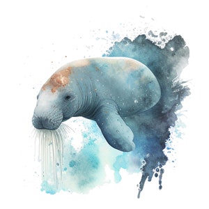 Manatee Clipart Set of 4 Watercolor Sea Creatures Download Sea Cow ...
