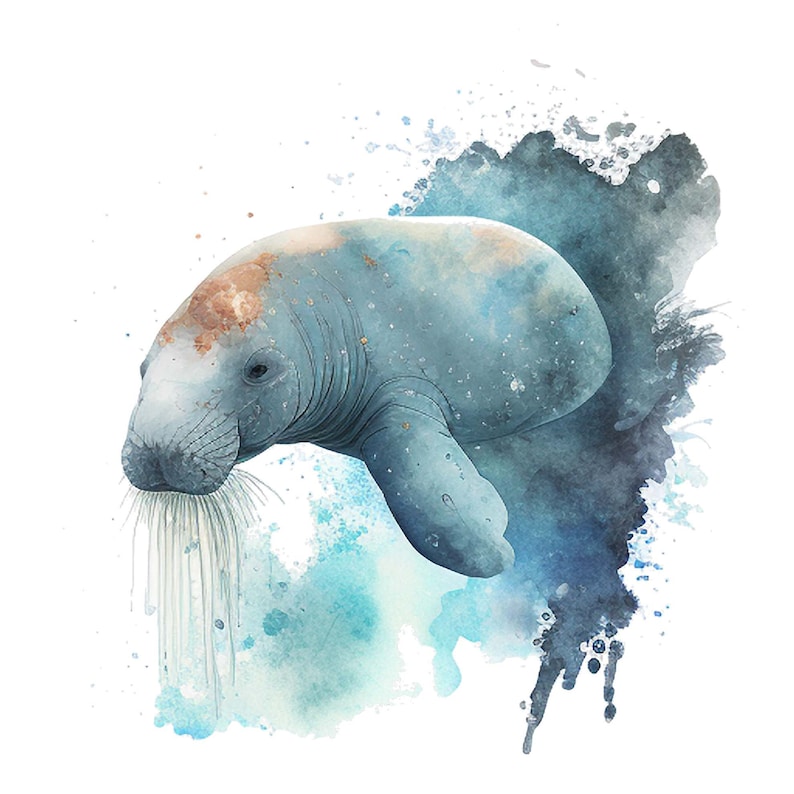 Manatee Clipart Set of 4 Watercolor Sea Creatures Download Sea Cow ...