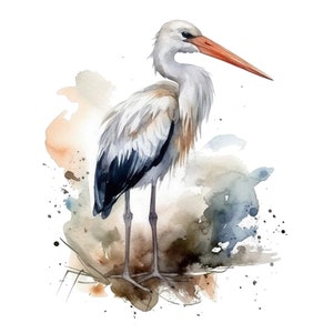 Stork Watercolor Clipart, Watercolor Stork , Set of 4 PNG Files ...
