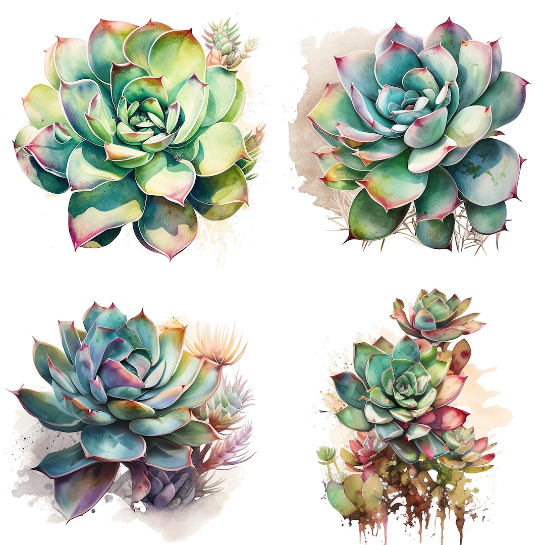Set of 4 Watercolor Succulent Clipart, Succulents Clipart, Watercolor ...