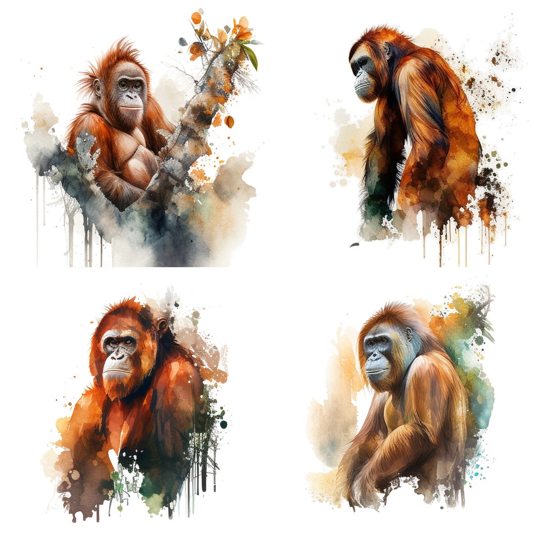 Orangutan Watercolor Clipart Set of 4 - Commercial Use PNG Digital ...