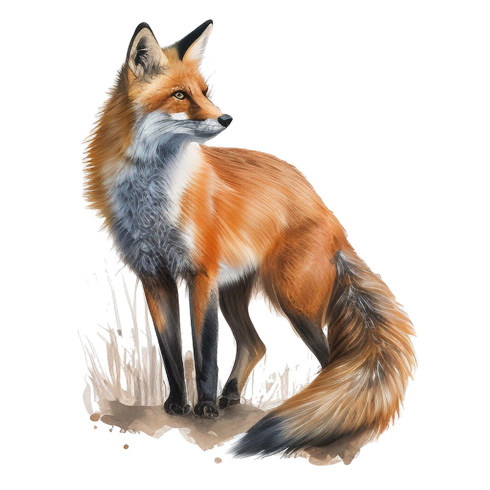 Cute Red Fox Watercolor Clipart Set of 4 Commercial Use PNG - Etsy