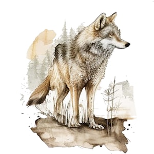 Set of 4 Watercolor Grey Wolf Clipart - Commercial Use PNG Download for ...