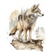 Set of 4 Watercolor Grey Wolf Clipart Commercial Use PNG - Etsy