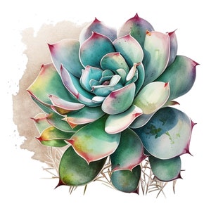 Set of 4 Watercolor Succulent Clipart, Succulents Clipart, Watercolor ...