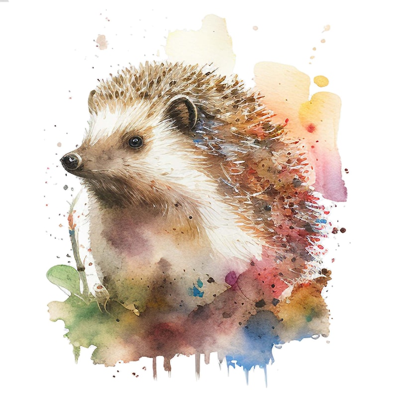 Set of 4 Watercolor Hedgehog Clipart Commercial Use PNG - Etsy