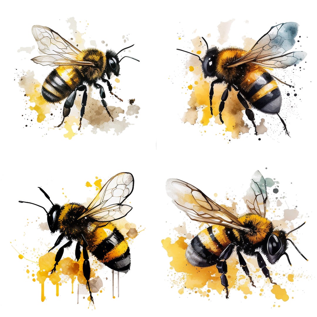 Watercolor Honeybee Clipart Bundle. Summer Clipart PNG Files ...