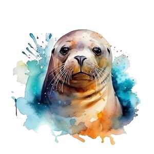 Watercolor Clipart Seal Digital Downloads, Seal Clipart, Sea Lion PNG ...