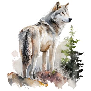 Set of 4 Watercolor Grey Wolf Clipart - Commercial Use PNG Download for ...