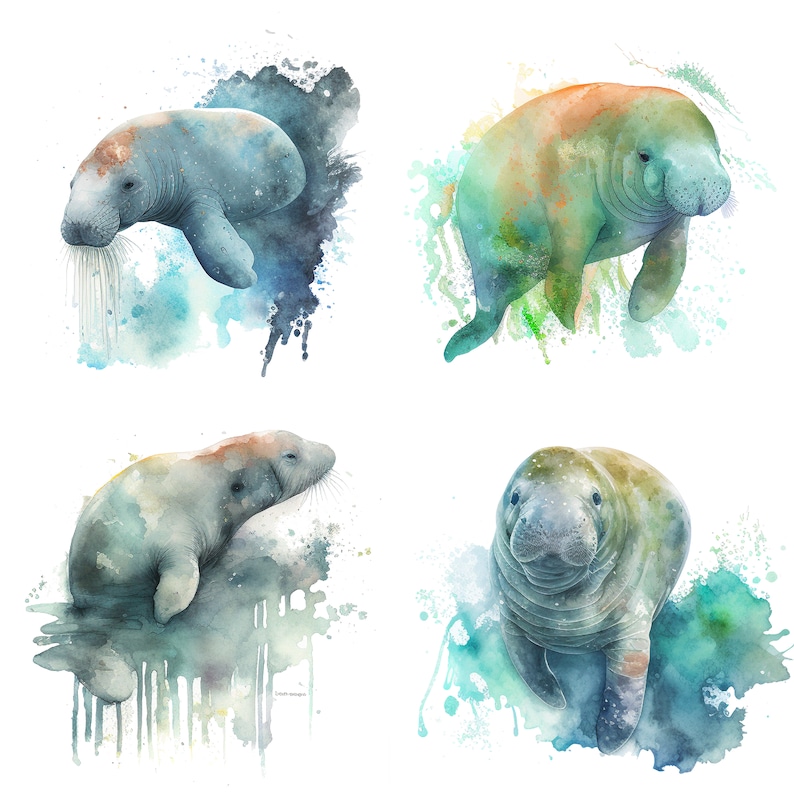 Manatee Clipart Set of 4 Watercolor Sea Creatures Download Sea Cow ...