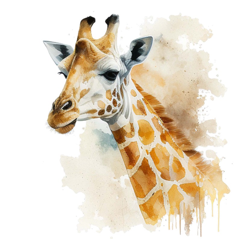 Cute Giraffe Watercolor Clipart Set of 4 - PNG Digital Download for ...