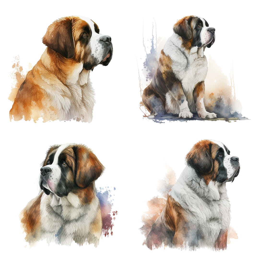 Watercolor Saint Bernard Portrait Clipart PNG Digital Download Set for ...