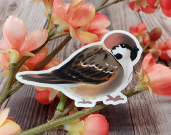 Sparrow Sticker - Etsy